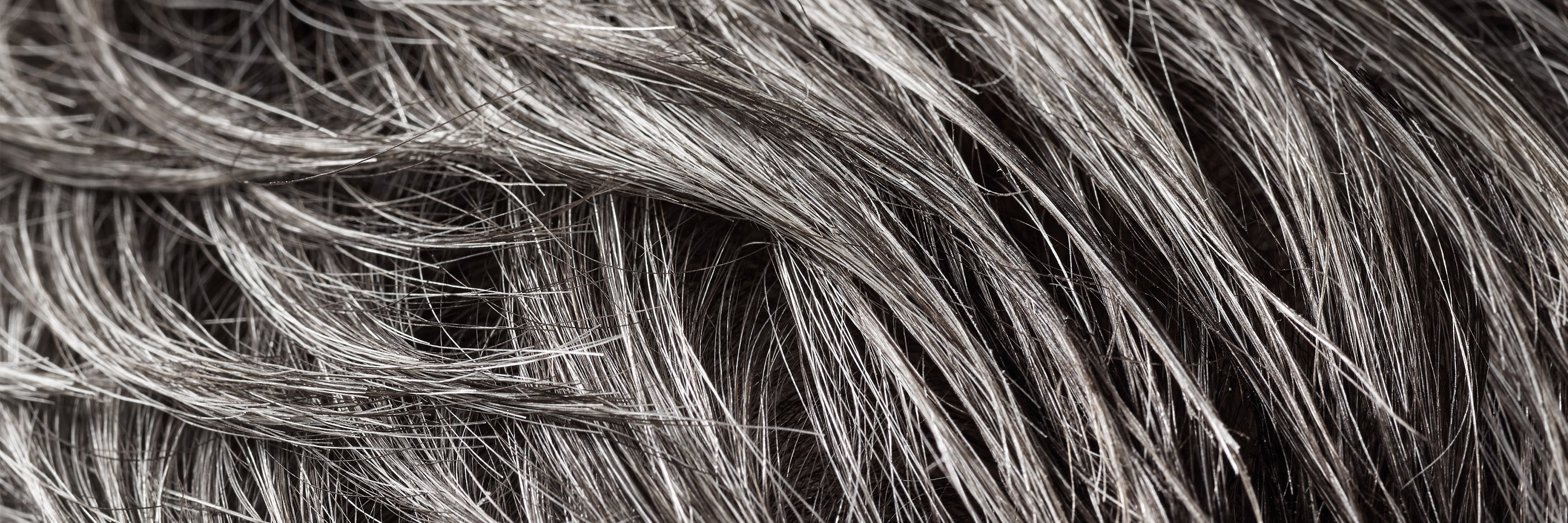 Style - Oribe Hair Care